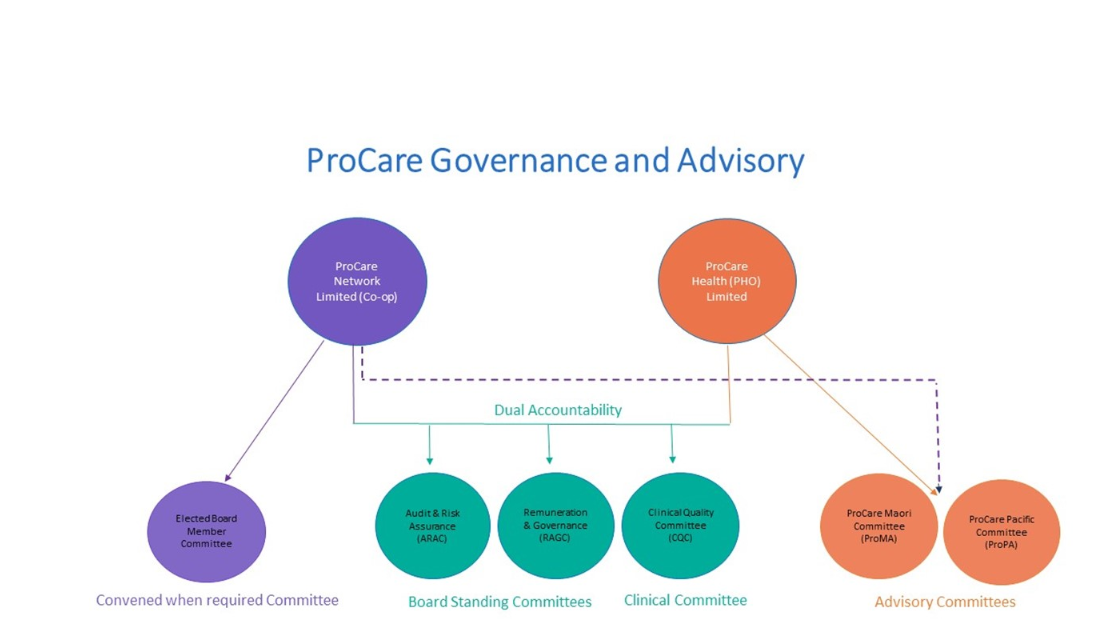 Governance | ProCare Health Limited